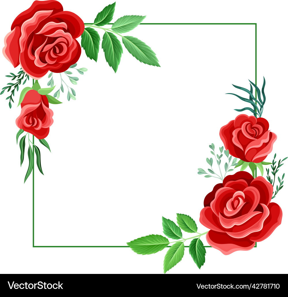 Square rose frame with red lush bud and green Vector Image