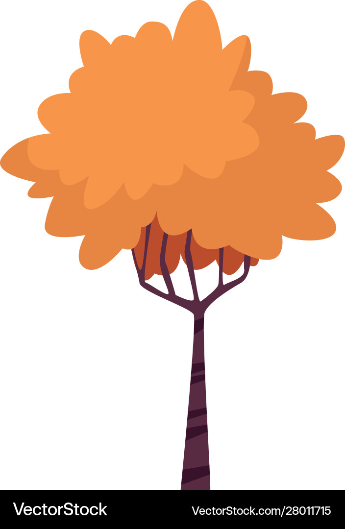 Autumn tree icon colorful design Royalty Free Vector Image