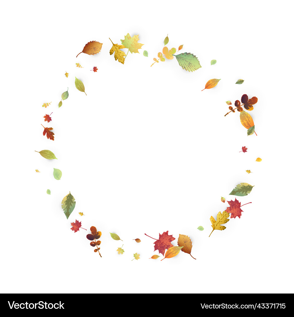 Leaves falling autumn foliage chaotic leaf flying Vector Image