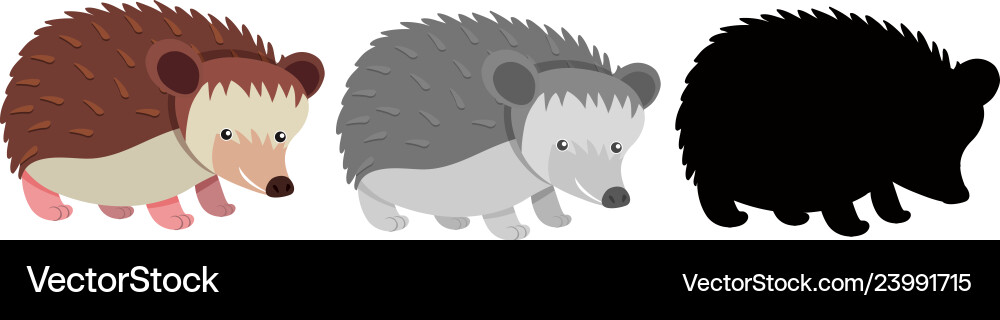Set of hedgehog character Royalty Free Vector Image