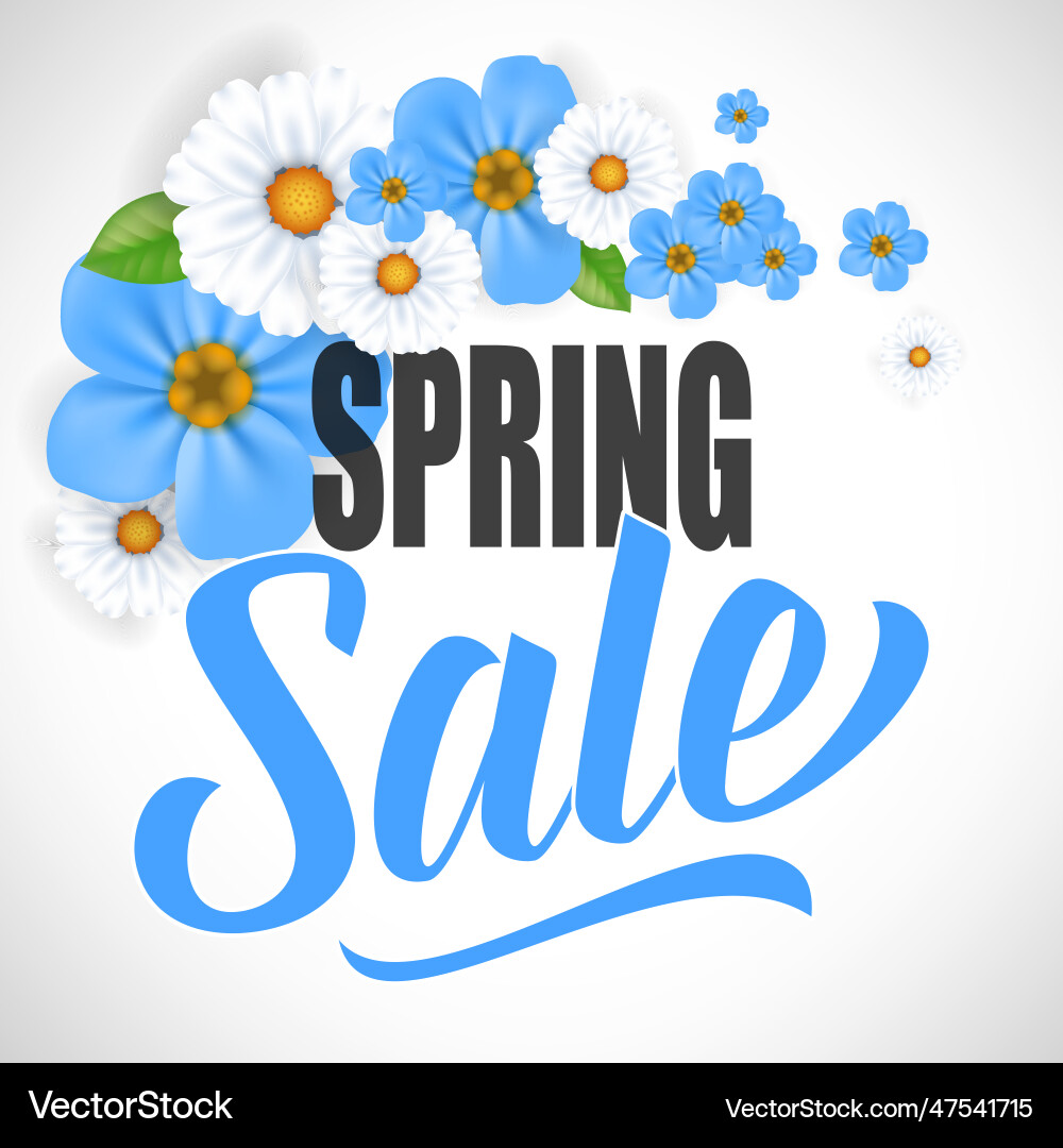 Spring sale flyer design with chamomiles Vector Image