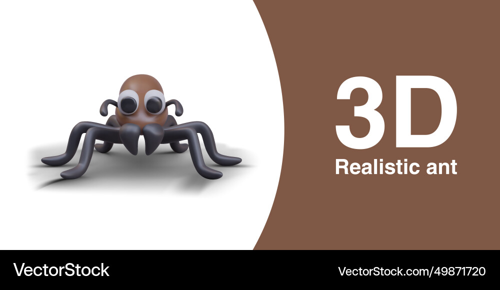 Front view on realistic ant in white and brown Vector Image