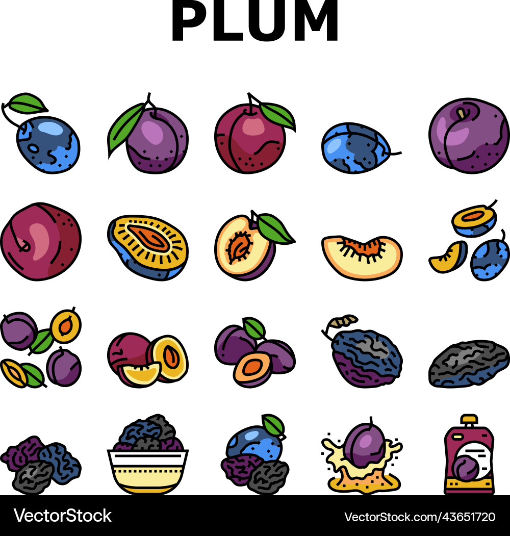 Plum fruit green red prune icons set Royalty Free Vector