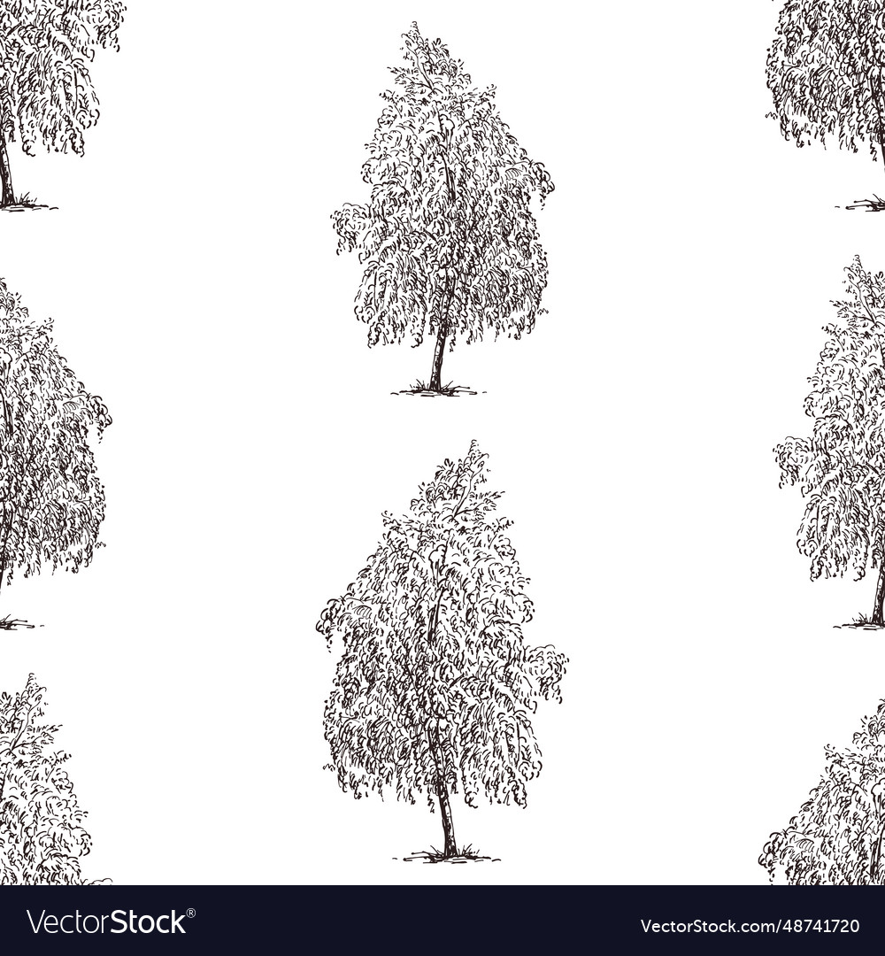 Seamless pattern of birch tree sketches Royalty Free Vector