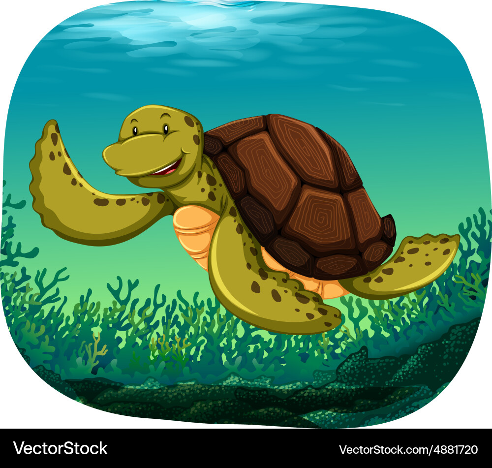 Turtle Royalty Free Vector Image - VectorStock