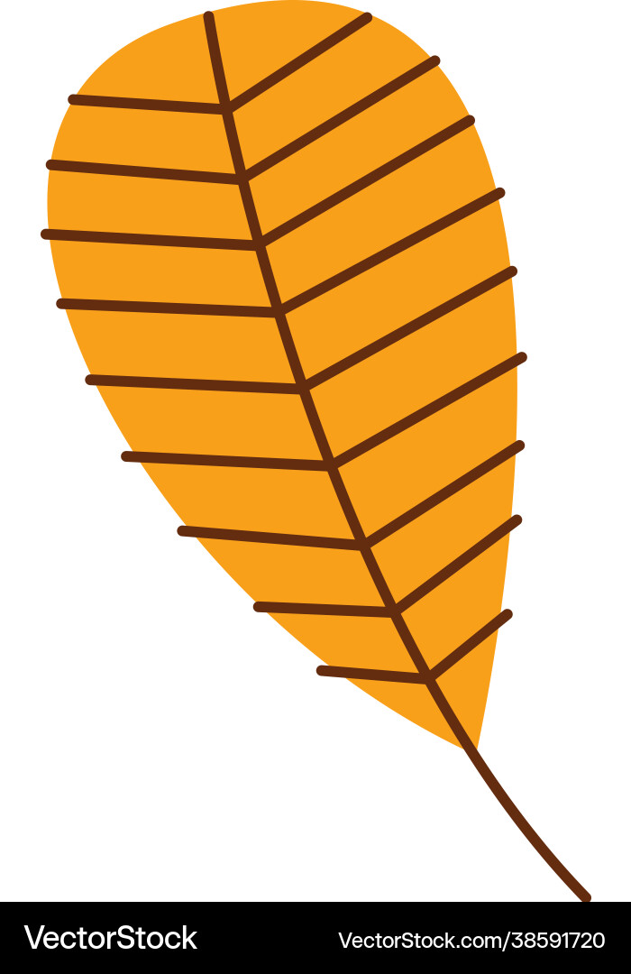 Yellow leaf autumn season Royalty Free Vector Image