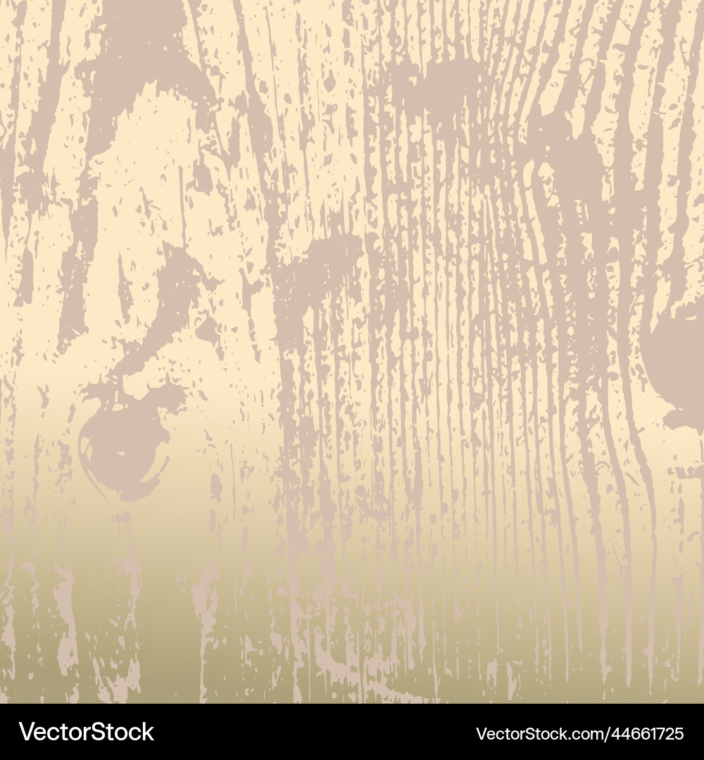 Abstract marble trendy wood texture chic Vector Image