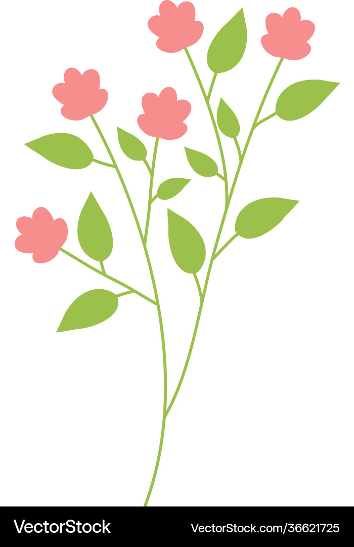 Pink flowers plant Royalty Free Vector Image - VectorStock