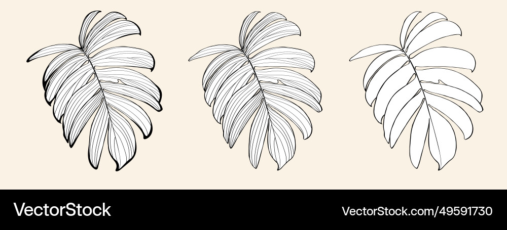 Exotic line leaf sketch by hand drawing art Vector Image