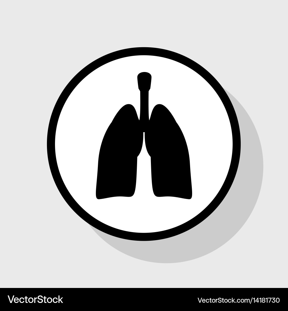Human anatomy lungs sign flat black icon Vector Image