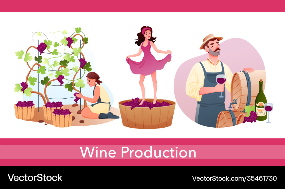 Wine production in traditional winery set Vector Image