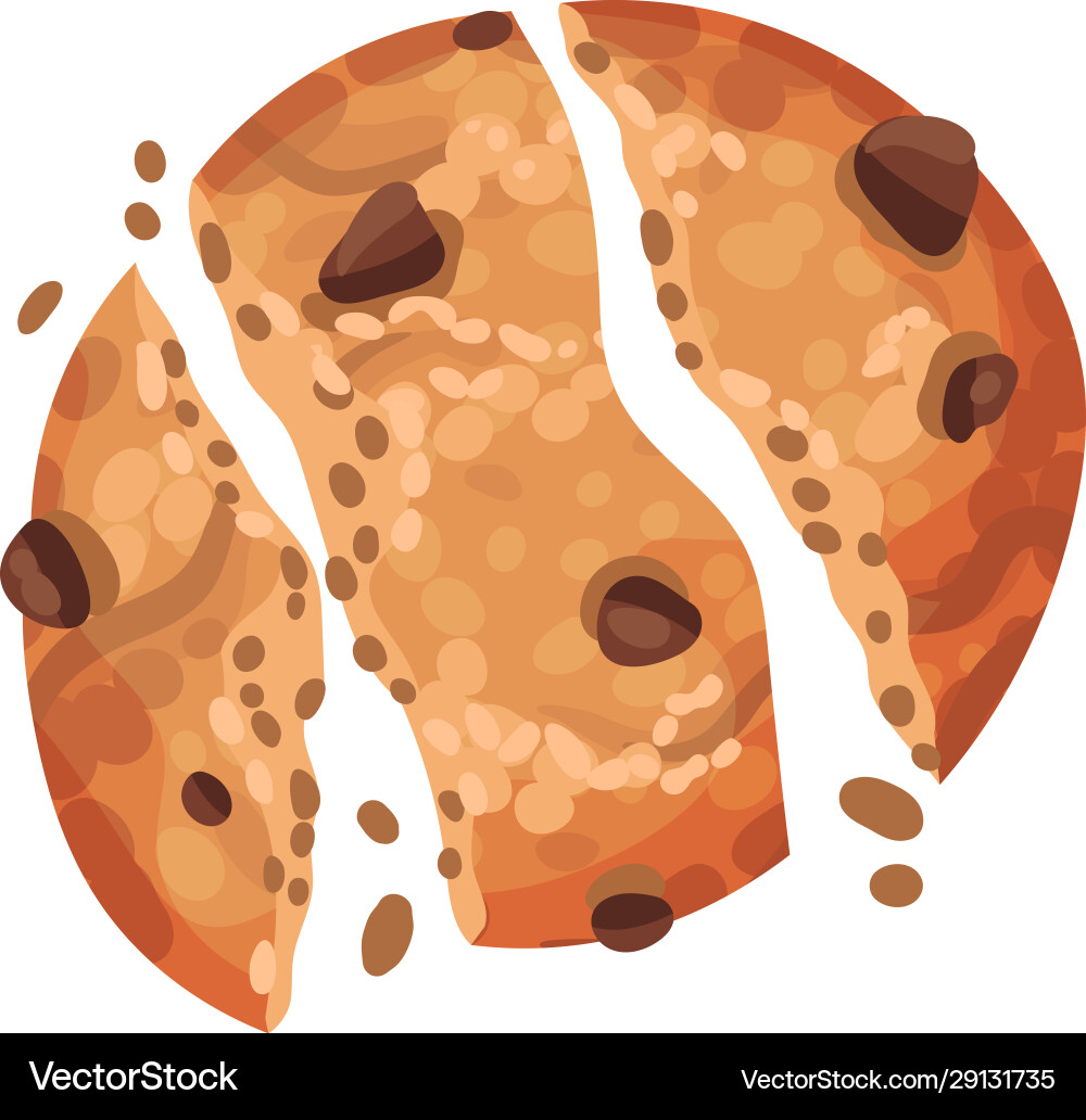 Oatmeal cookie with chocolate crumbs isolated Vector Image