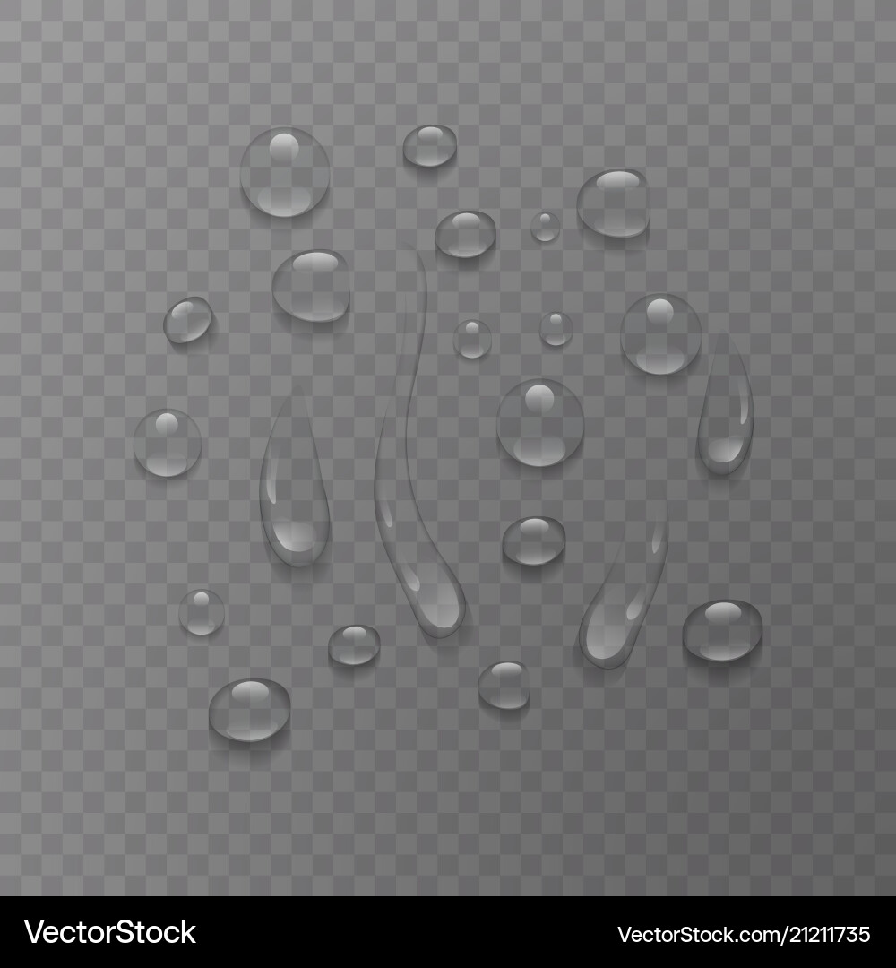 Pure clear water drops realistic set isolated Vector Image