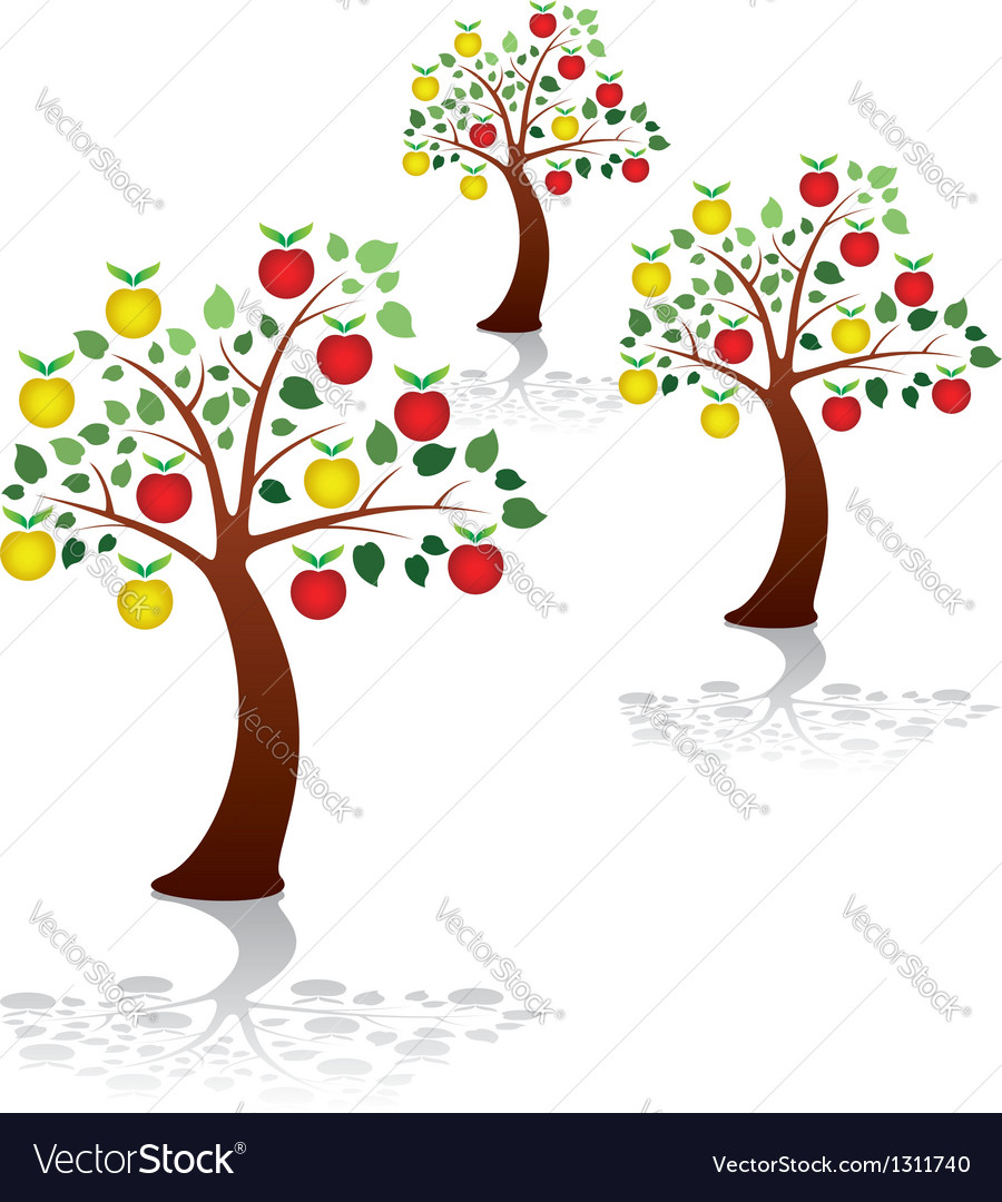 Apple trees Royalty Free Vector Image - VectorStock