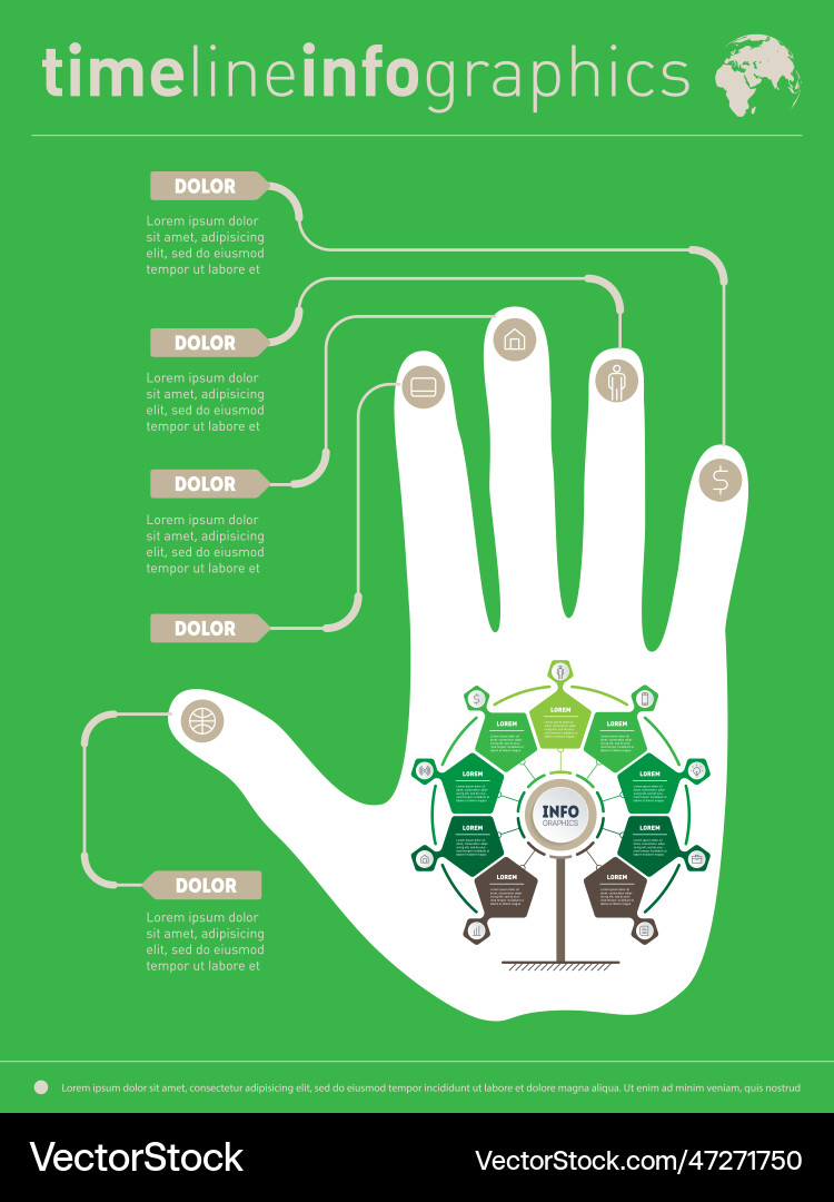 Infographic of technology or education process Vector Image