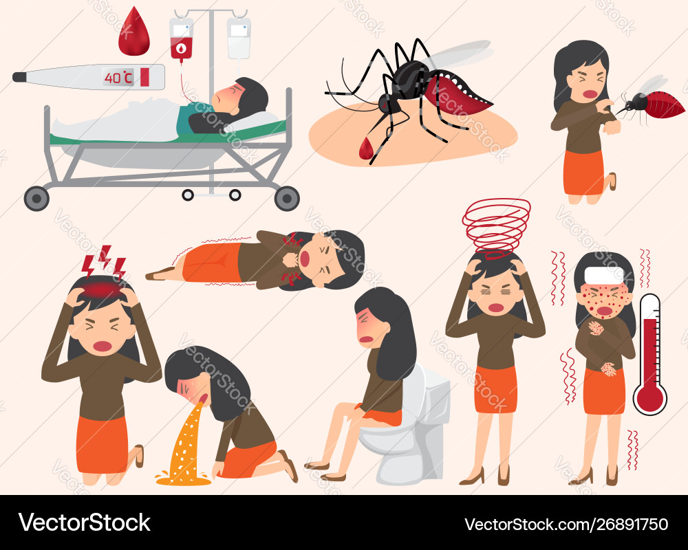 Template design details dengue fever or flu Vector Image