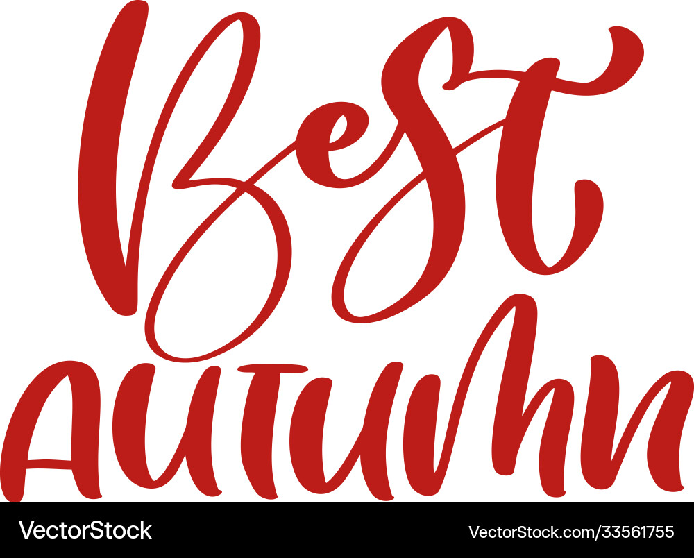 Best autumn red calligraphy text hand Royalty Free Vector