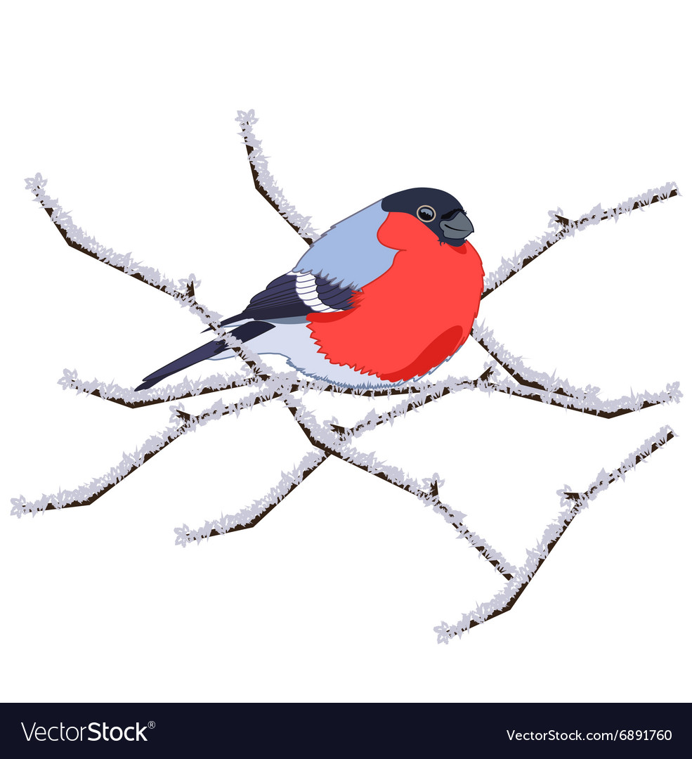 Bird Royalty Free Vector Image - VectorStock