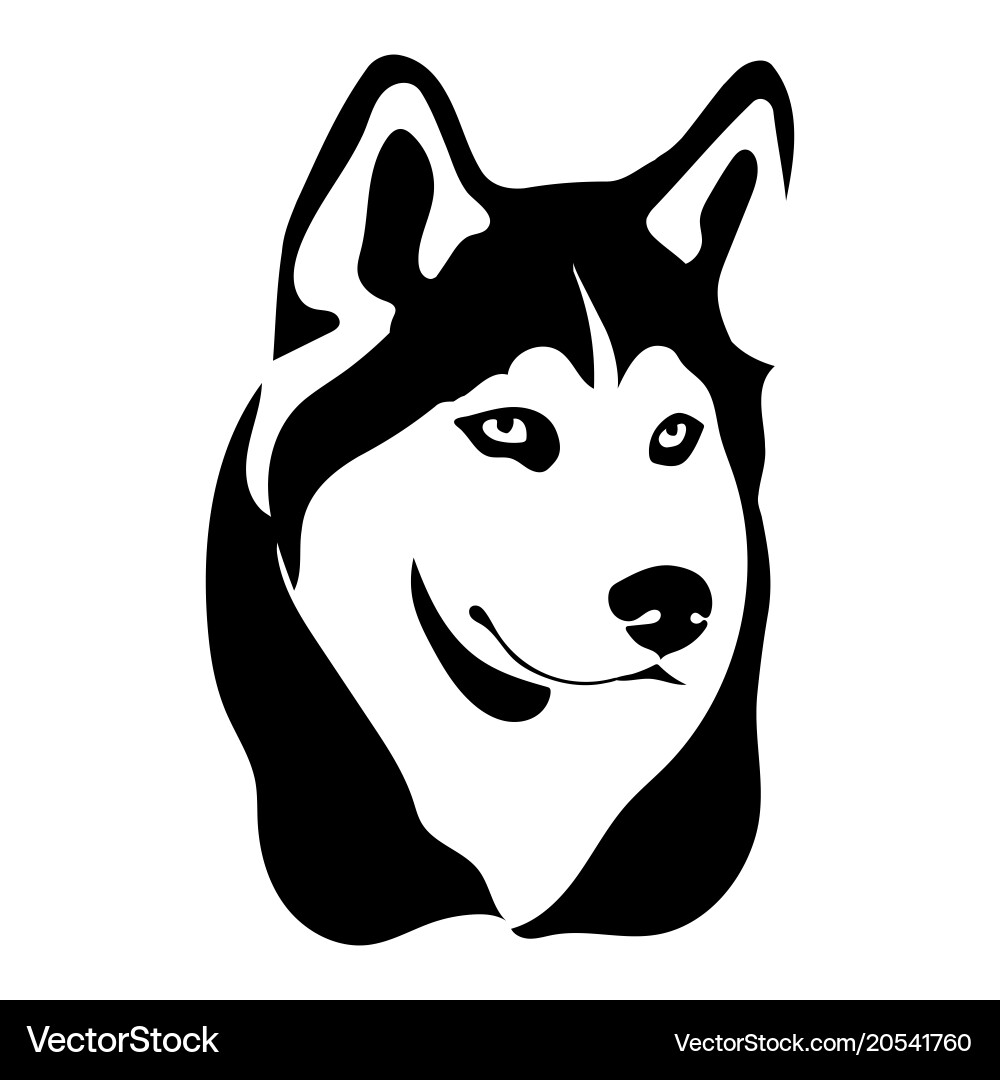 Portrait a dog husky Royalty Free Vector Image