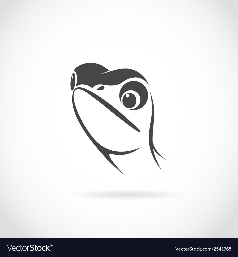 Lizard head Royalty Free Vector Image - VectorStock