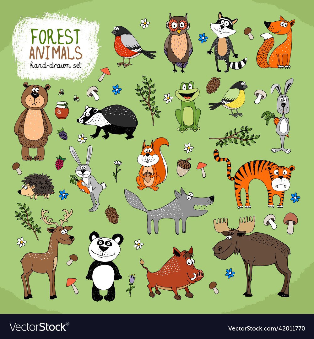 Forest animals hand-drawn Royalty Free Vector Image