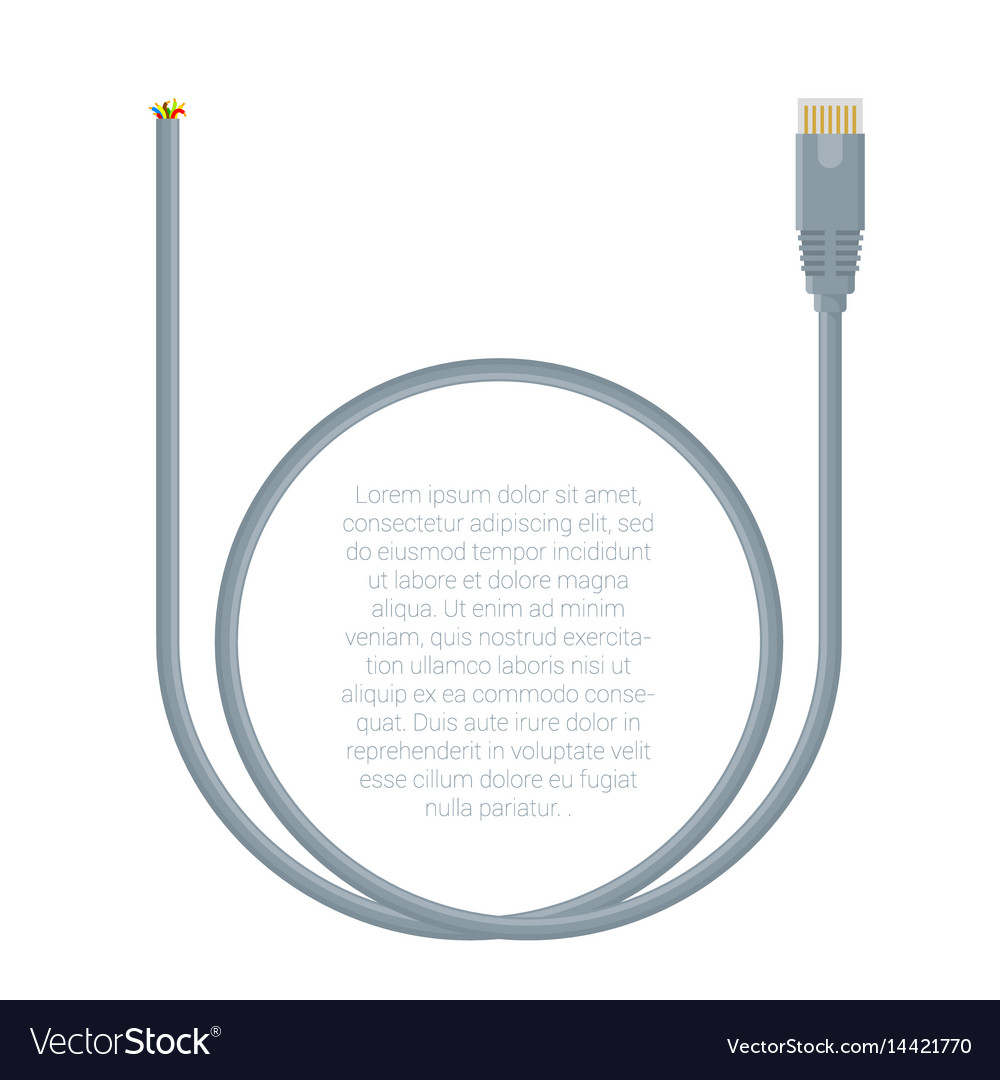 Network data cable template Royalty Free Vector Image