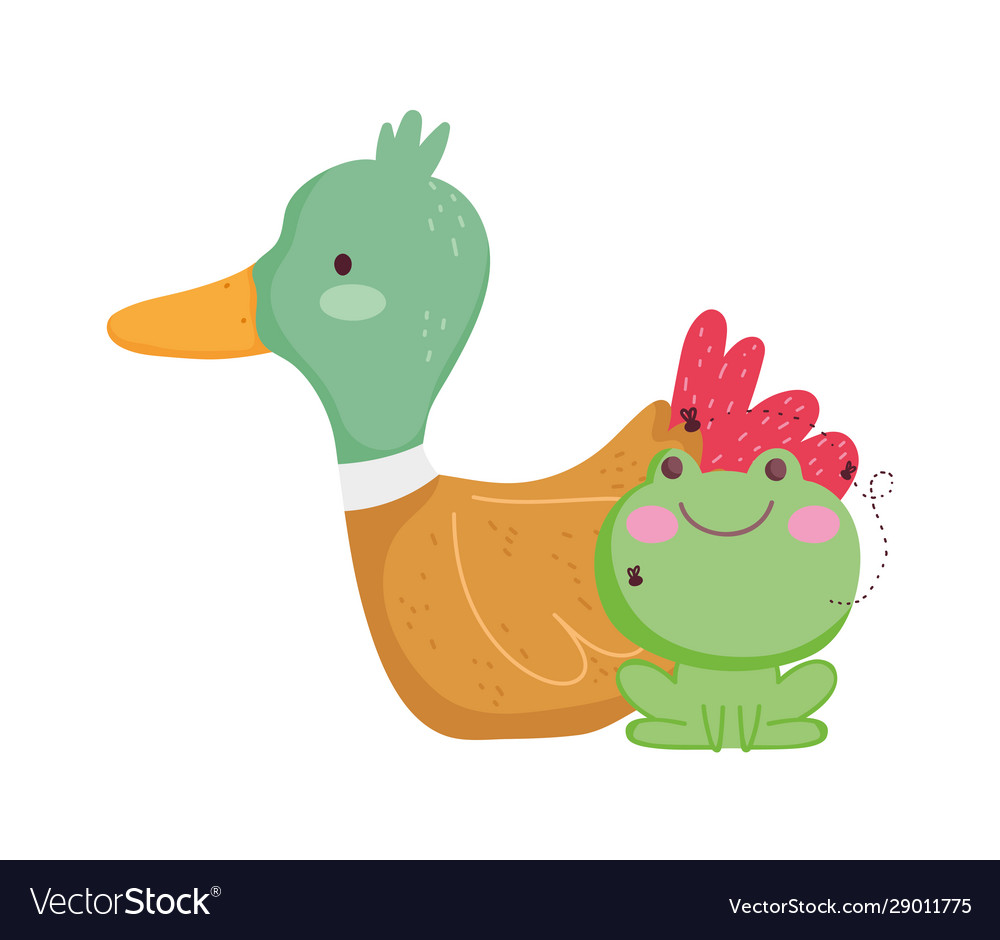 Duck and frog farm cartoon animal Royalty Free Vector Image