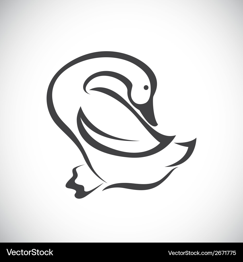 Duck Royalty Free Vector Image - VectorStock