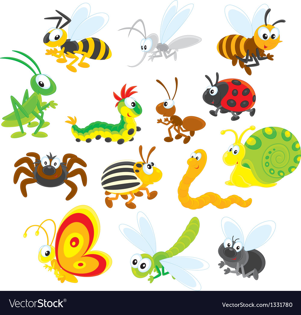 Insects Royalty Free Vector Image - VectorStock