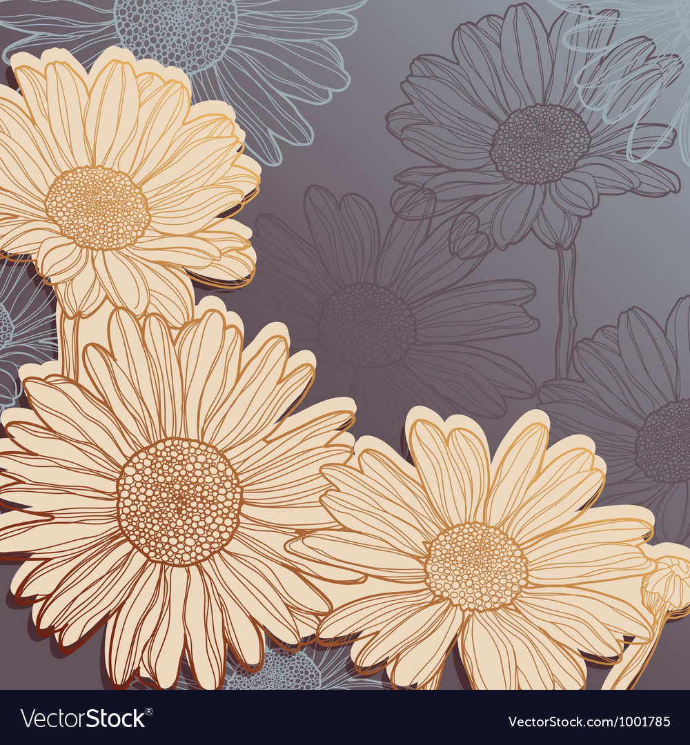 Chamomile Royalty Free Vector Image - VectorStock