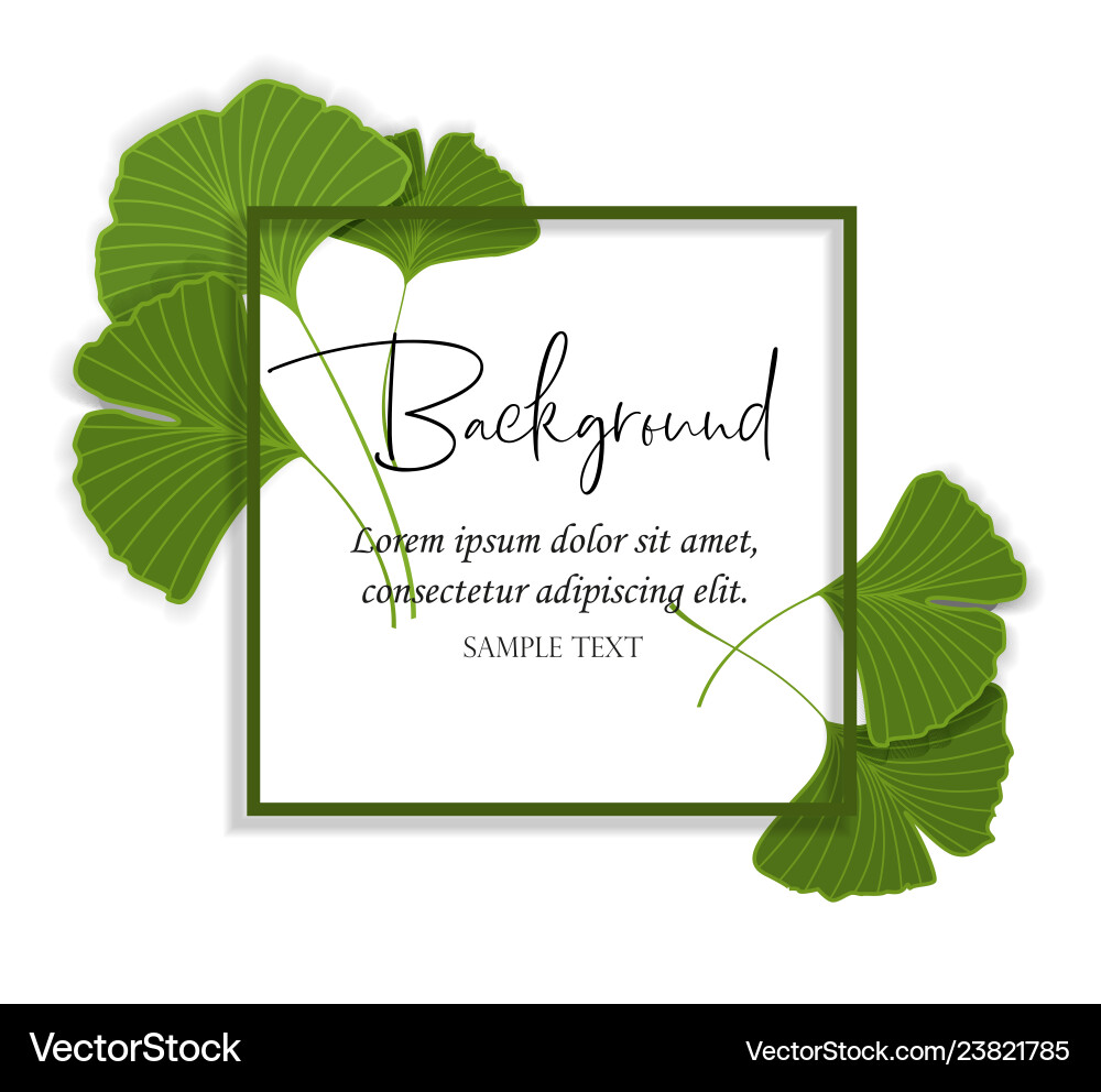 Ginkgo biloba leaves Royalty Free Vector Image