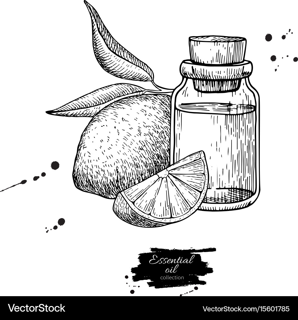Lemon essential oil bottle and fruit hand Vector Image