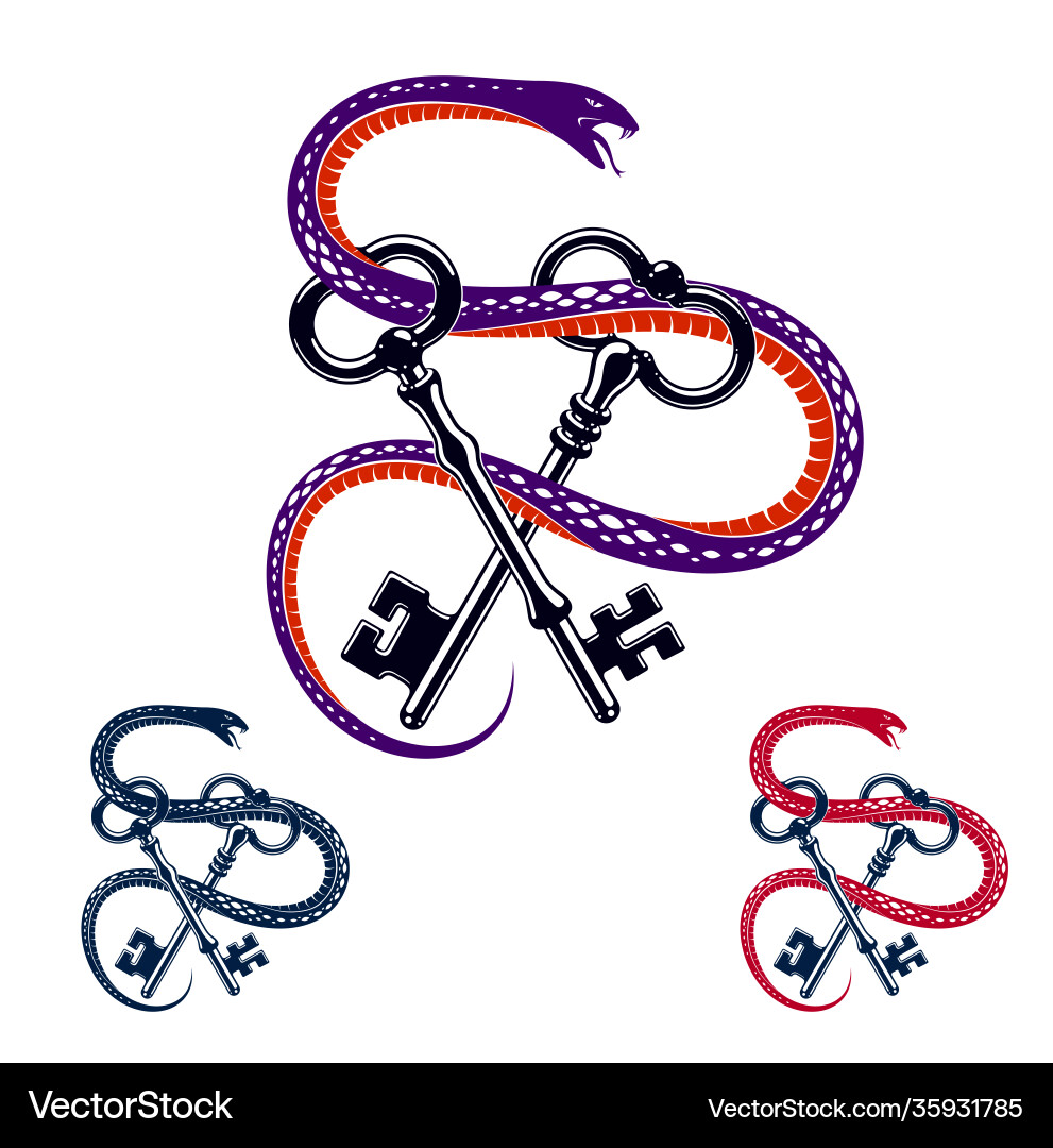 Snake wraps around vintage key protected secret Vector Image