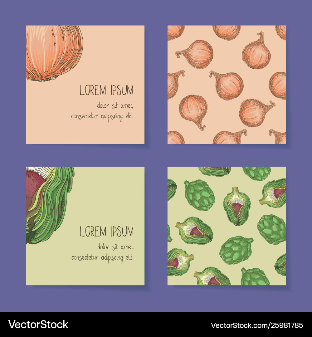 Vegetable business cards template collection Vector Image