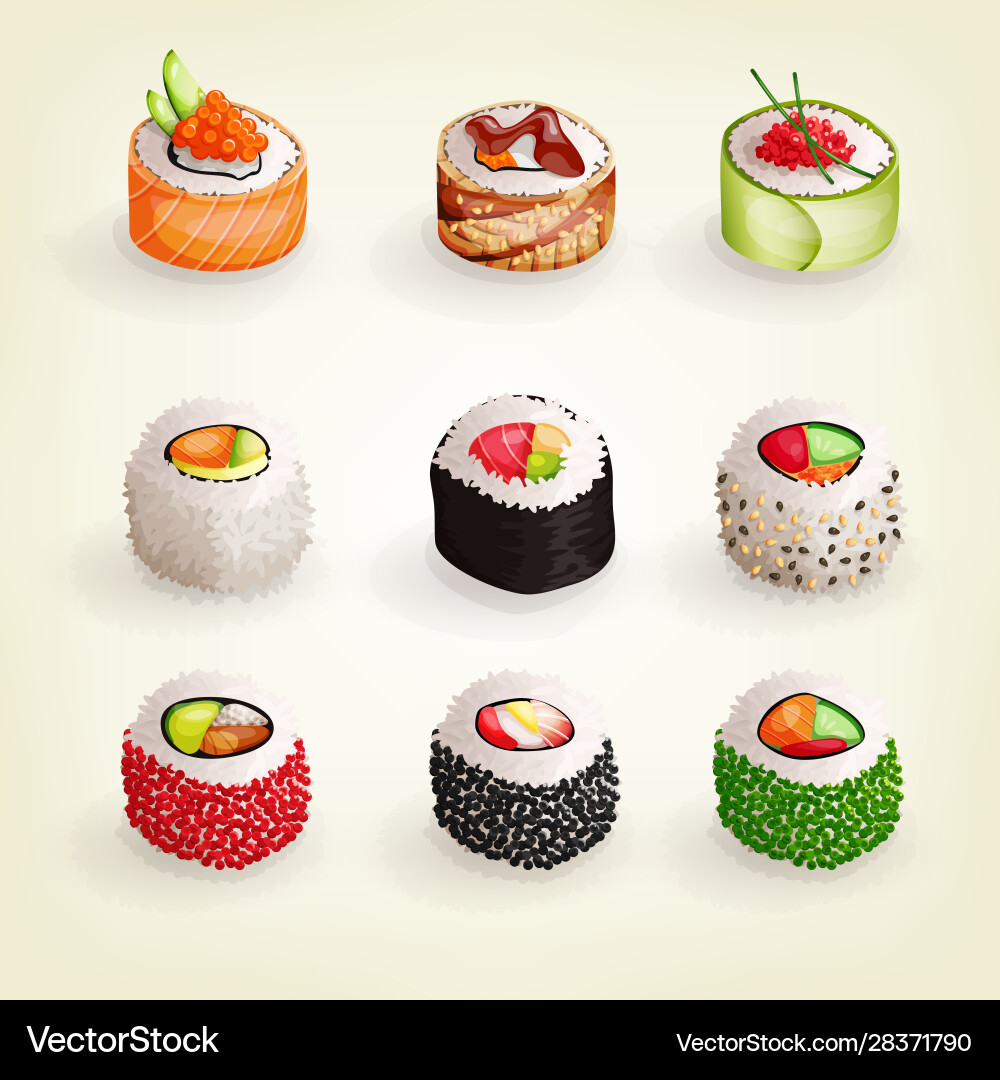 Set various fresh and delicious sushi rolls Vector Image