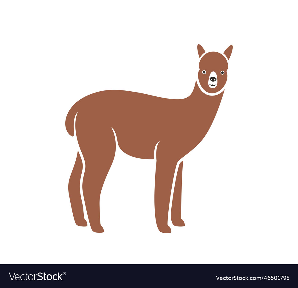 Alpaca Royalty Free Vector Image - VectorStock