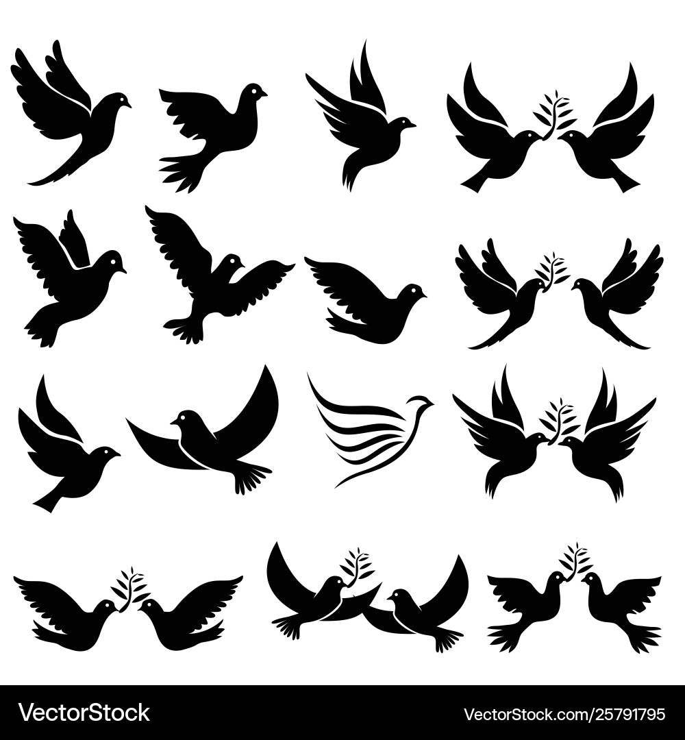 Set flying birds sign isolated on white Royalty Free Vector