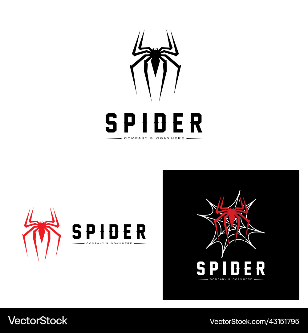Spider and cobweb logo iconsanimals making Vector Image