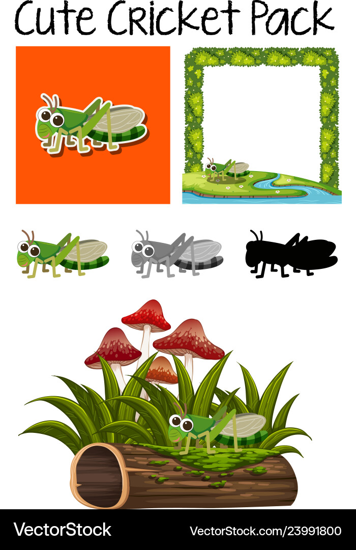 A pack of cute cricket Royalty Free Vector Image