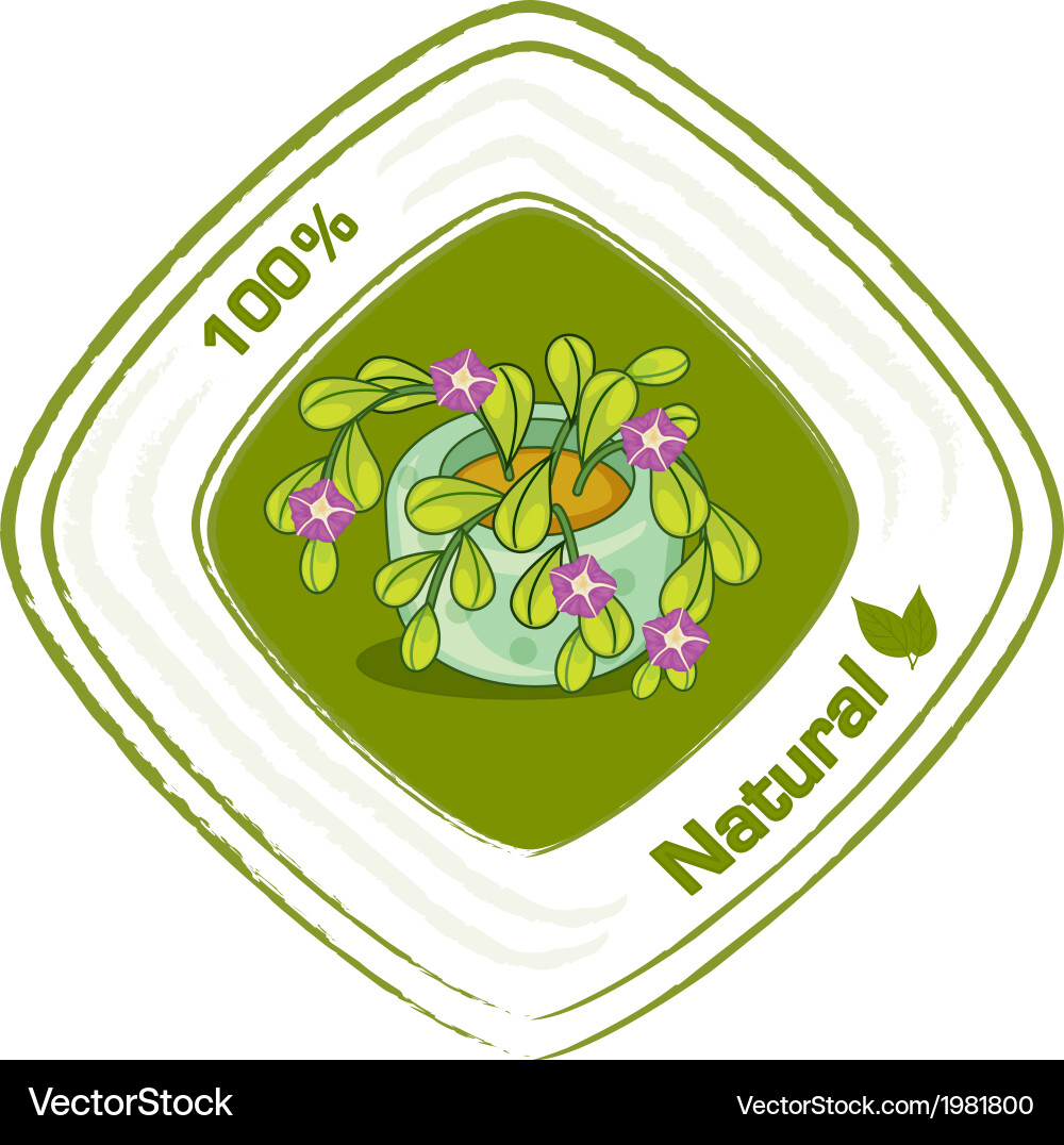 A plant with natural label Royalty Free Vector Image