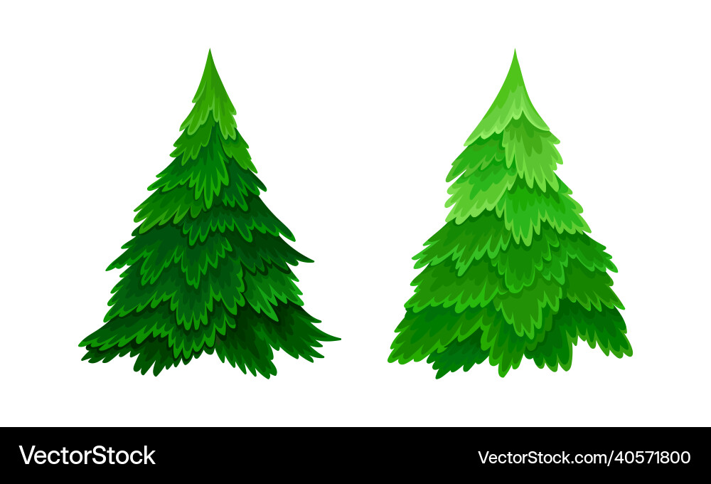 Evergreen coniferous trees set cartoon Royalty Free Vector