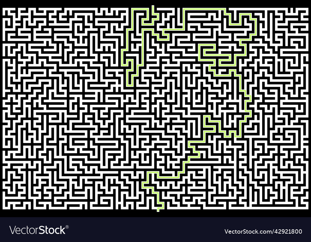 Rectangle maze with solution Royalty Free Vector Image