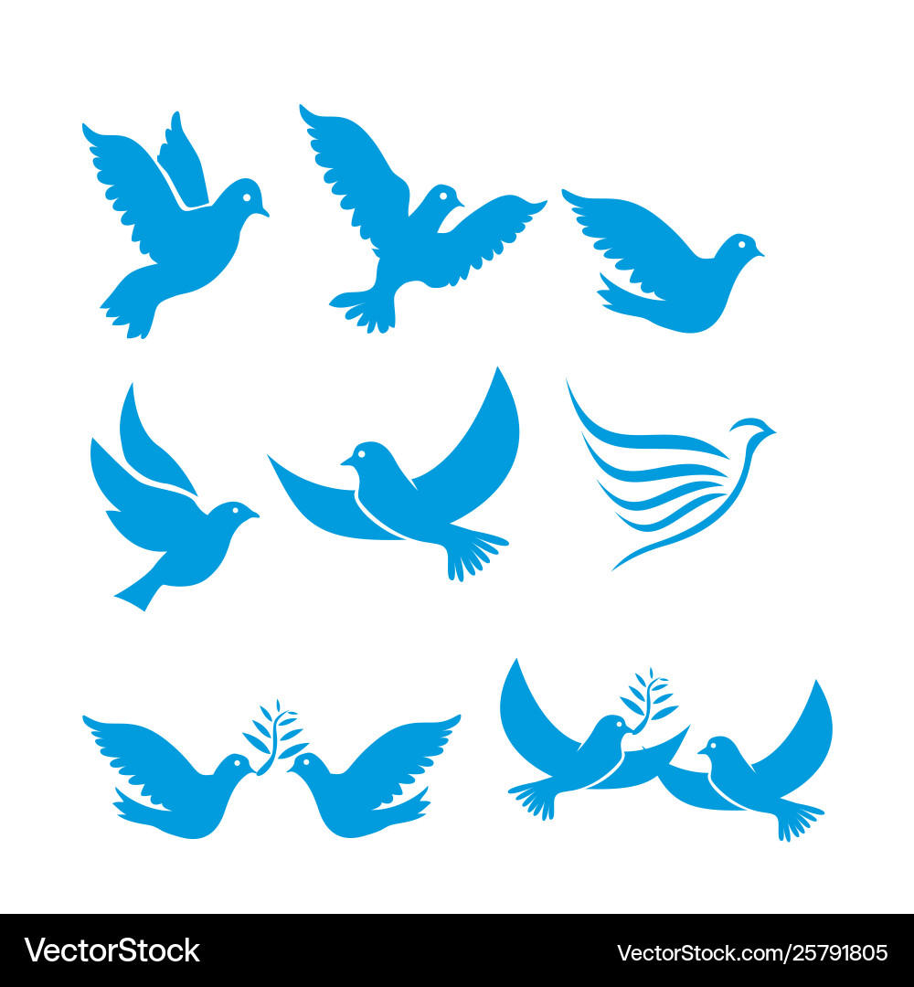 Set flying birds sign isolated on white Royalty Free Vector