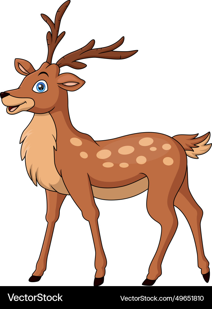 Cute deer cartoon on white background Royalty Free Vector
