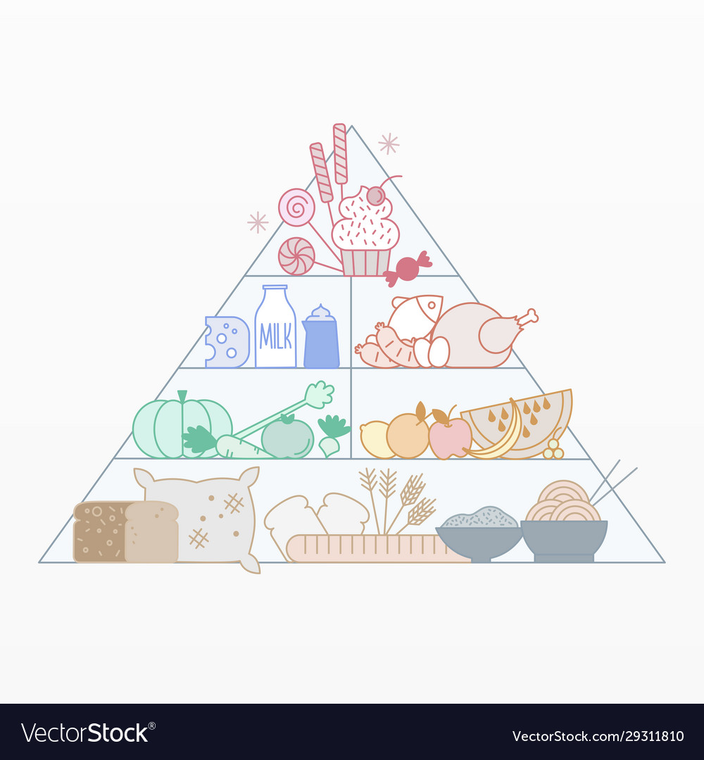 Food pyramid design Royalty Free Vector Image - VectorStock