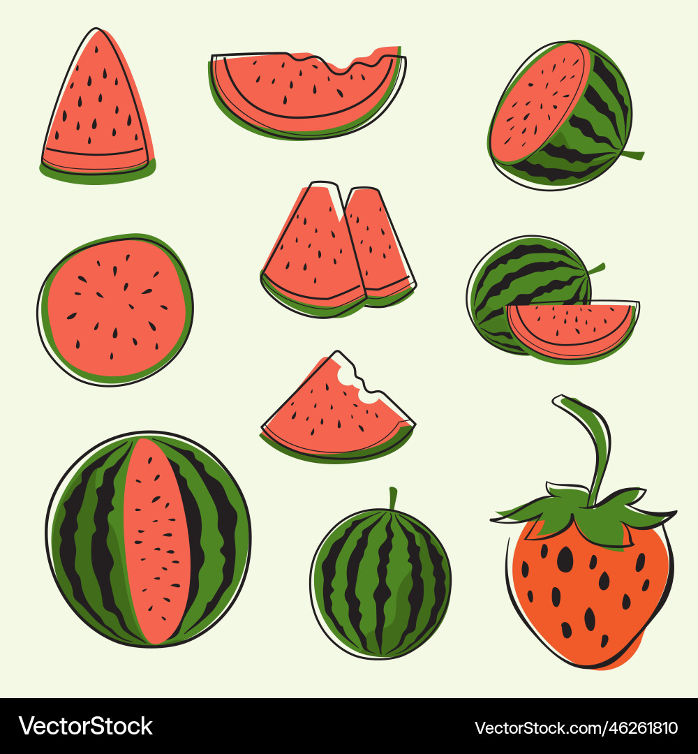 Watermelon fruit with boho style Royalty Free Vector Image