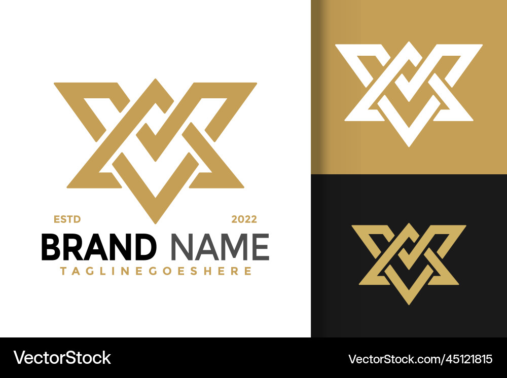Letter va or av star logo design Royalty Free Vector Image