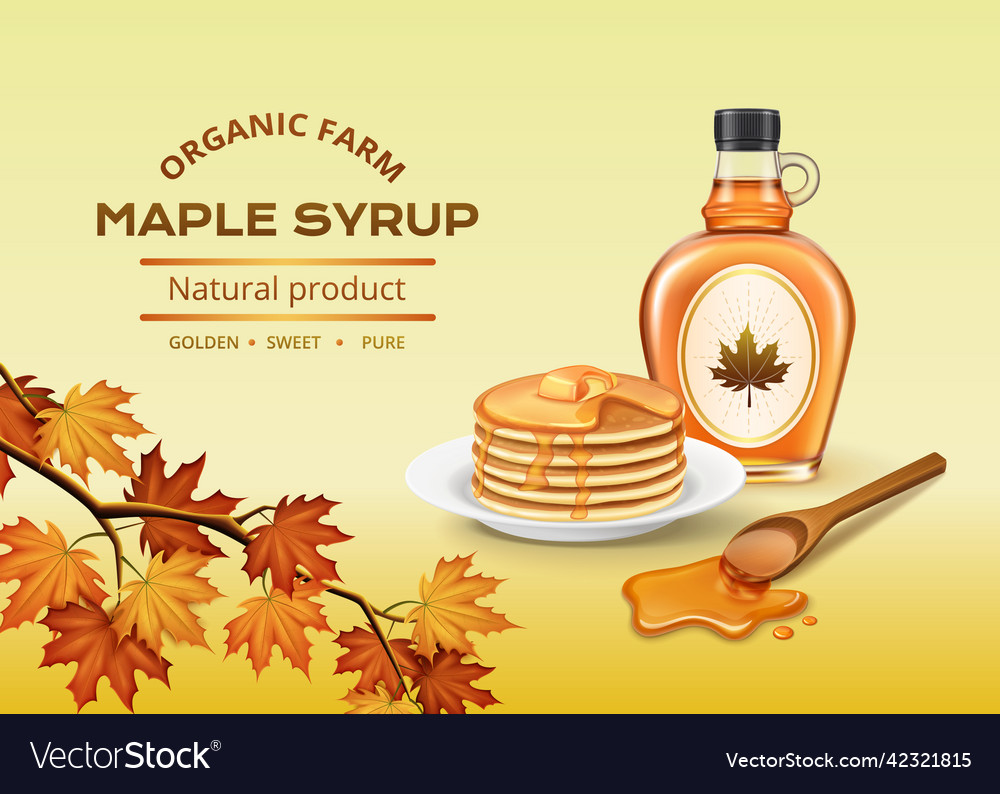 Maple syrup composition Royalty Free Vector Image