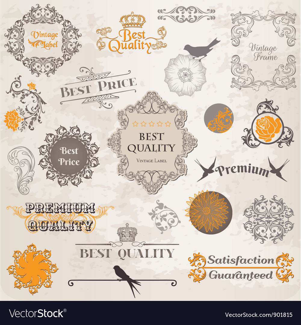 Set Calligraphic Design Elements Royalty Free Vector Image Set Calligraphic Design Elements Royalty Free Vector Image