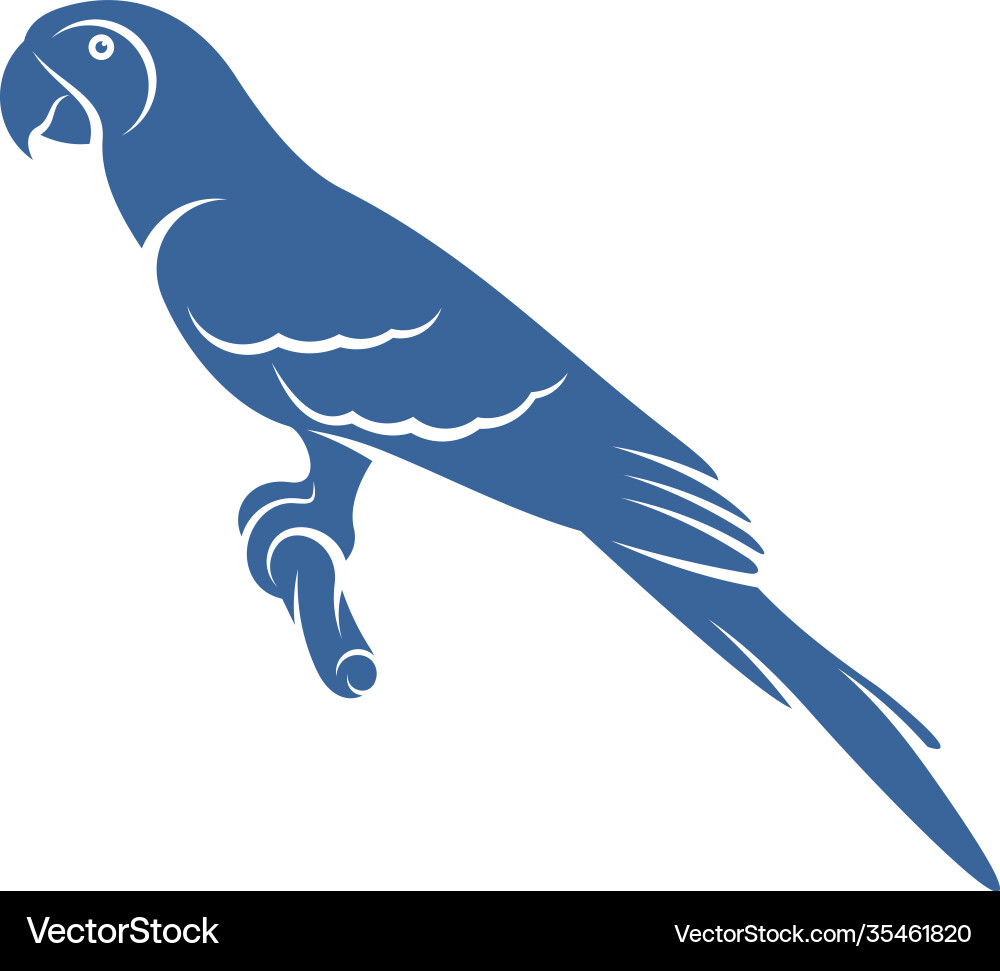 Cockatoo bird design creative parrot logo Vector Image